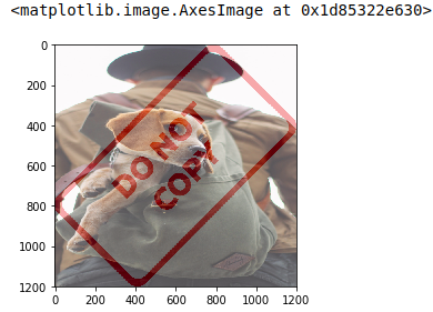 Introduction to Computer Vision & OpenCV in Python | by Shashwat Tiwari ...