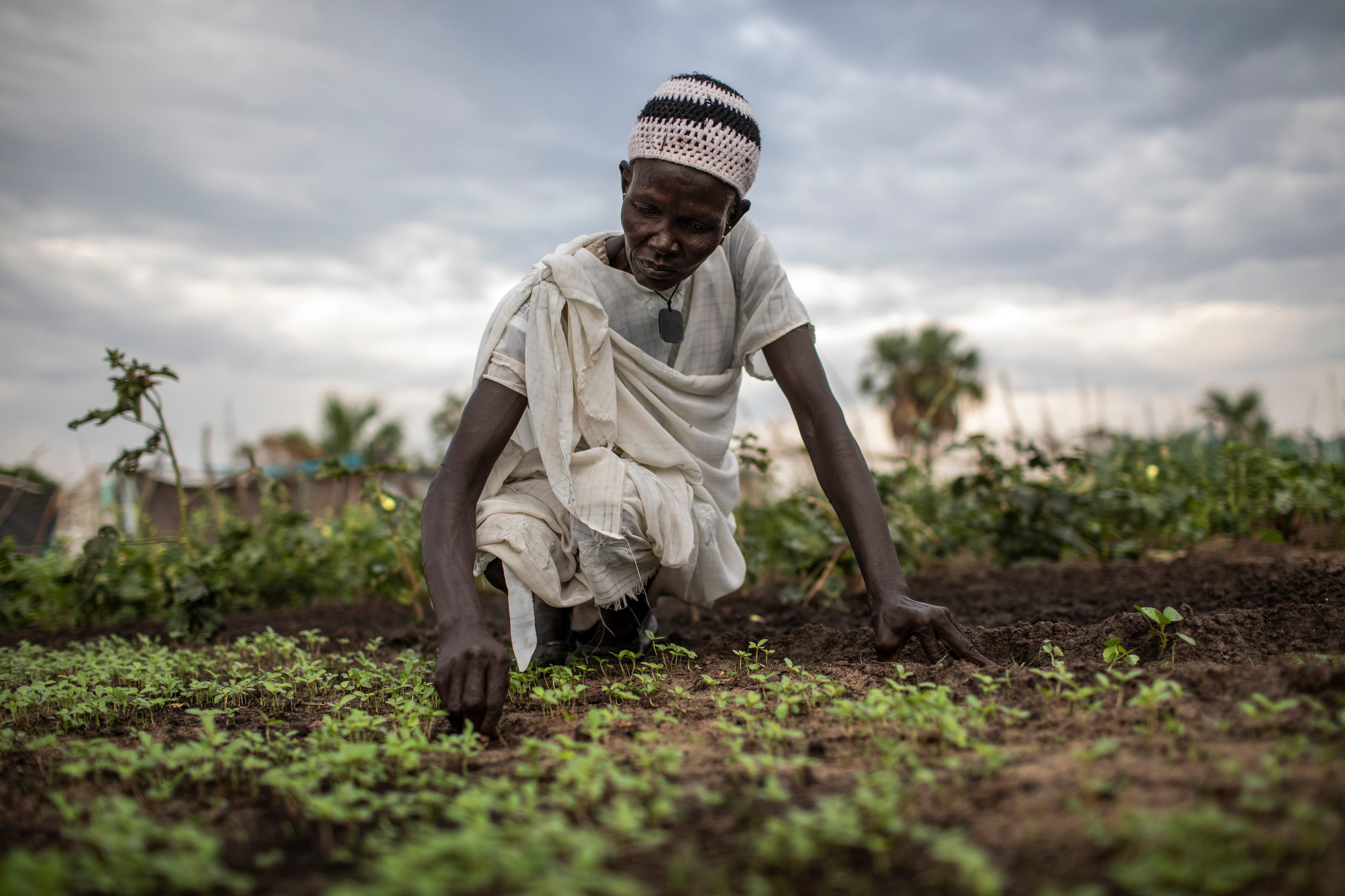 Food Security in Focus. Meet the winners of USAID’s Office of… | by ...