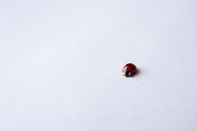 Testing Async Redux Actions With Jest By Alex Bachuk Medium
