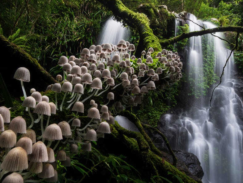 45 Stunning Photos That Capture the Majesty of Nature | by Jack ...