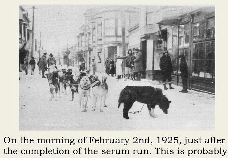 The Race of Mercy — Winter of 1925 | by N S Vinodh | Medium