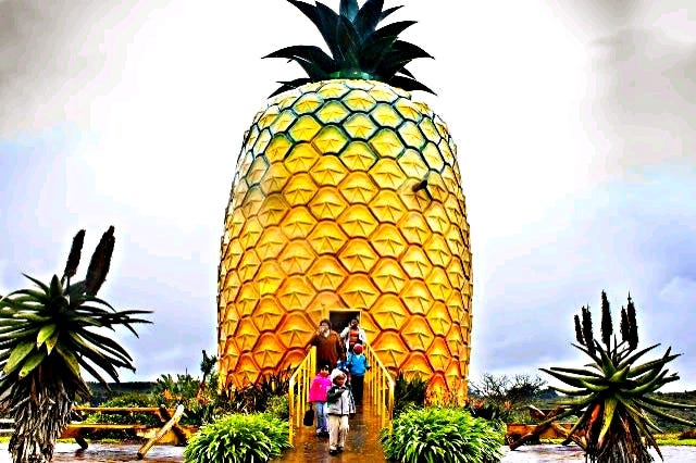 A Visit To The World’s Largest Fruit Building, South Africa | by Osei ...