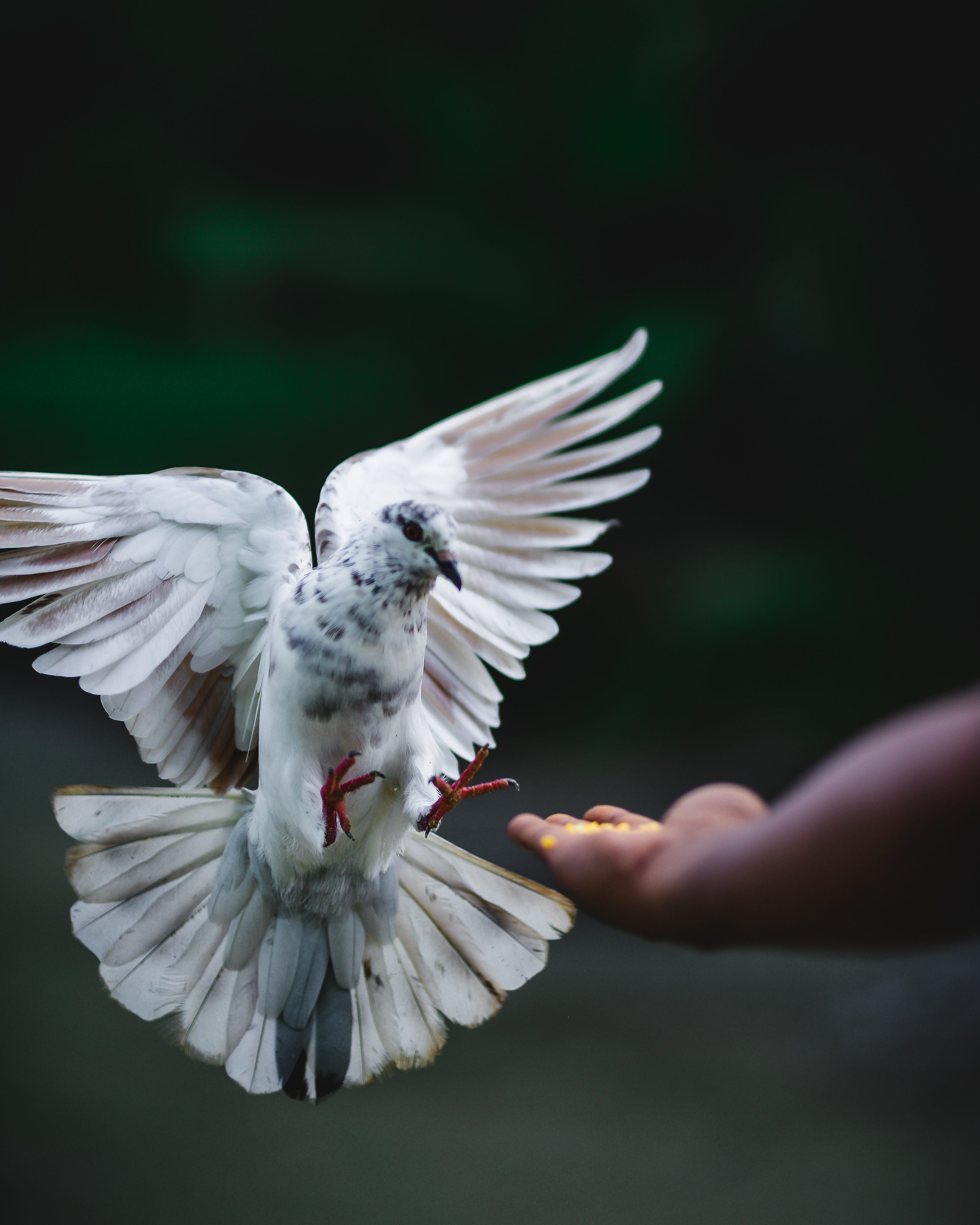 Human Encounter. Many human encounters are like this… | by Tom Jacobson ...