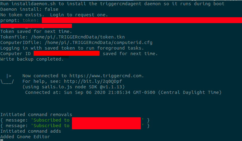 Instalar TriggerCMD en Raspberry Pi 4 / Rasbian Buster | by Rafael Vázquez | Medium