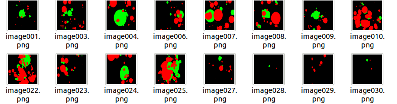 A Machine Learning Engineer’s Tutorial to Transfer Learning for Multi-class Image Segmentation ...
