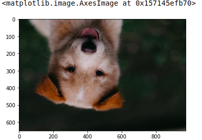 Introduction to Computer Vision & OpenCV in Python | by Shashwat Tiwari ...