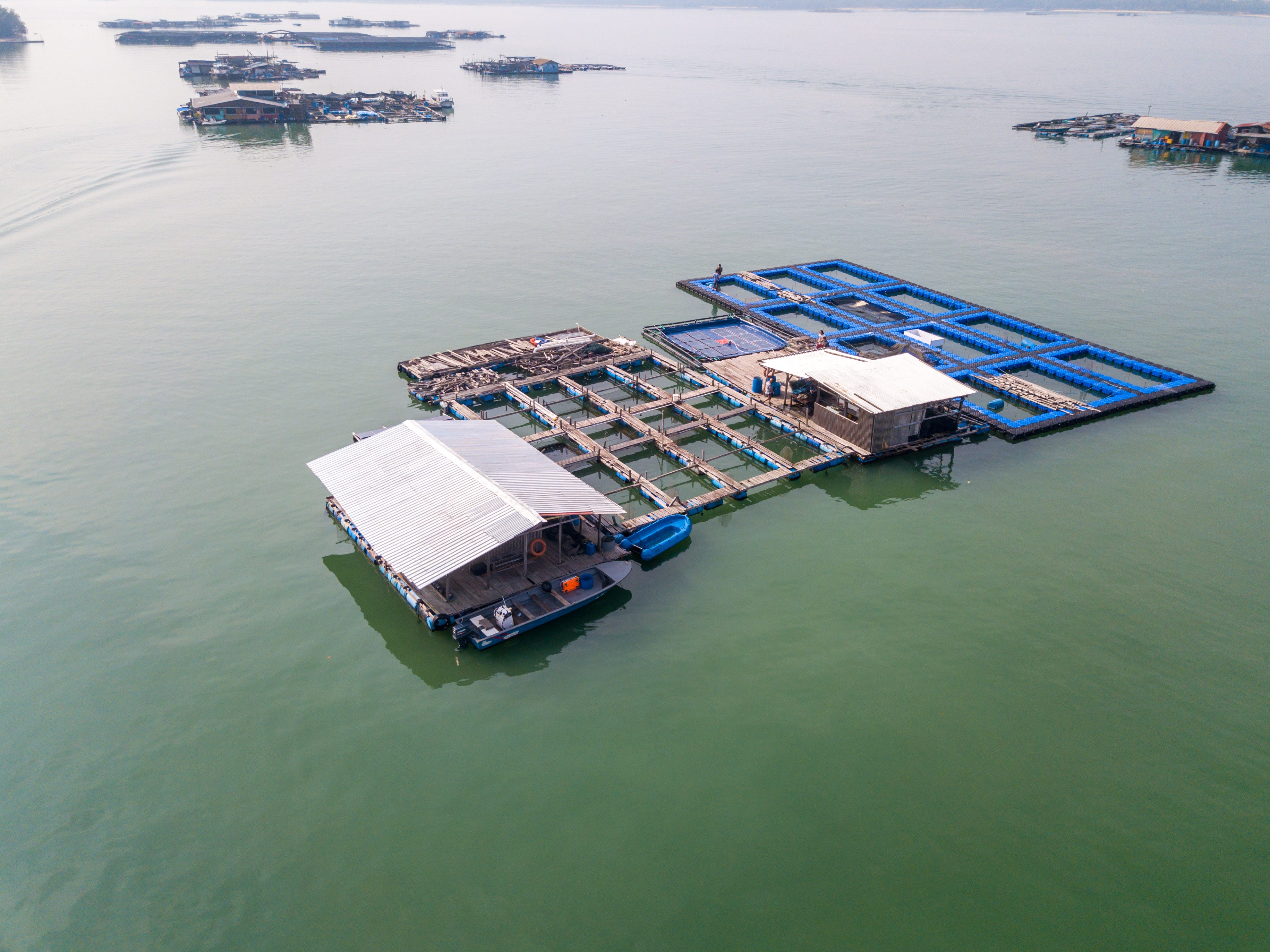 This Fish Farmer Dreams of Saving the Sea | by Temasek | Generational ...