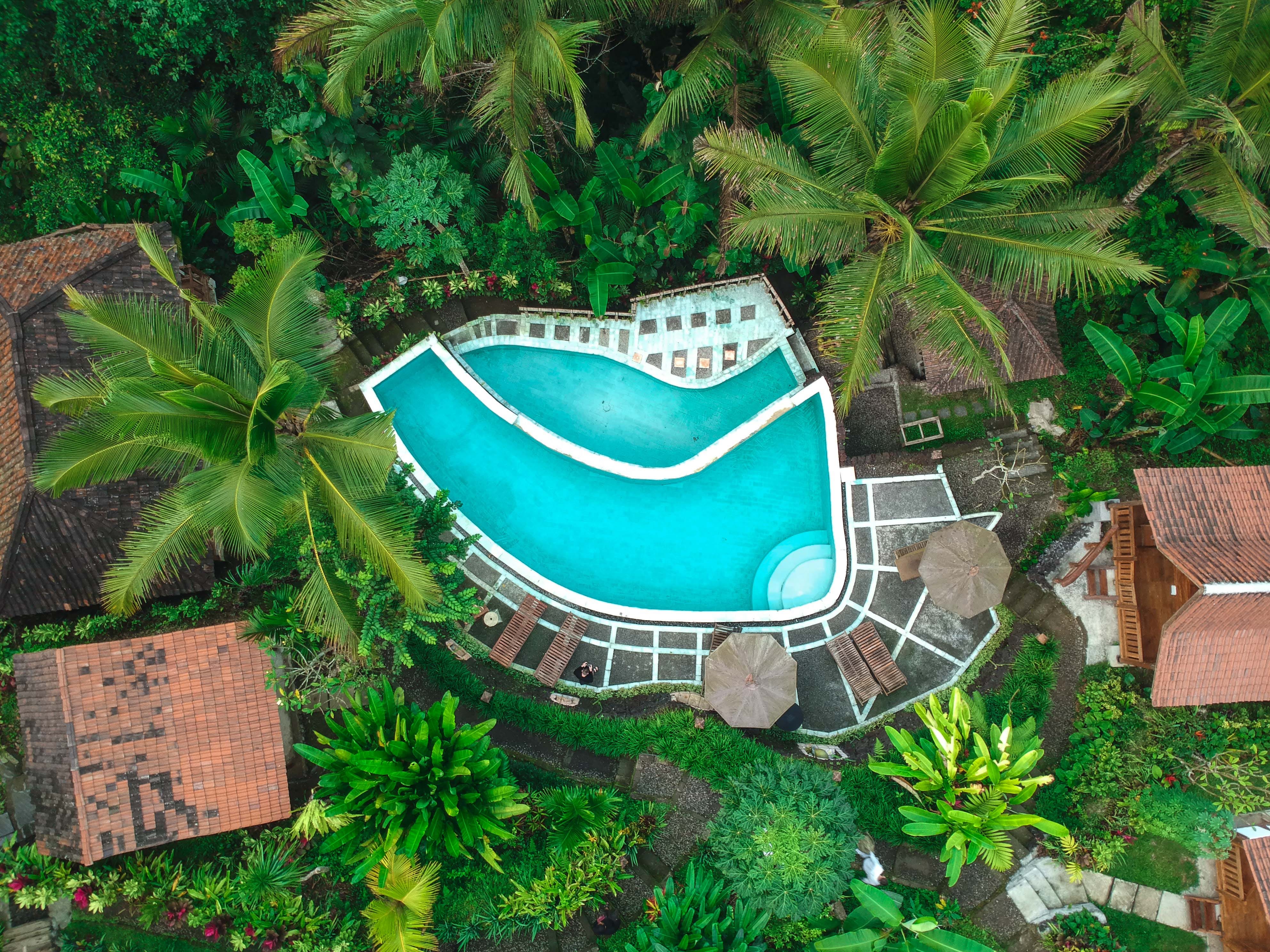The turbulent history of Bali’s tourism industry | by Lisa’s vivid ...