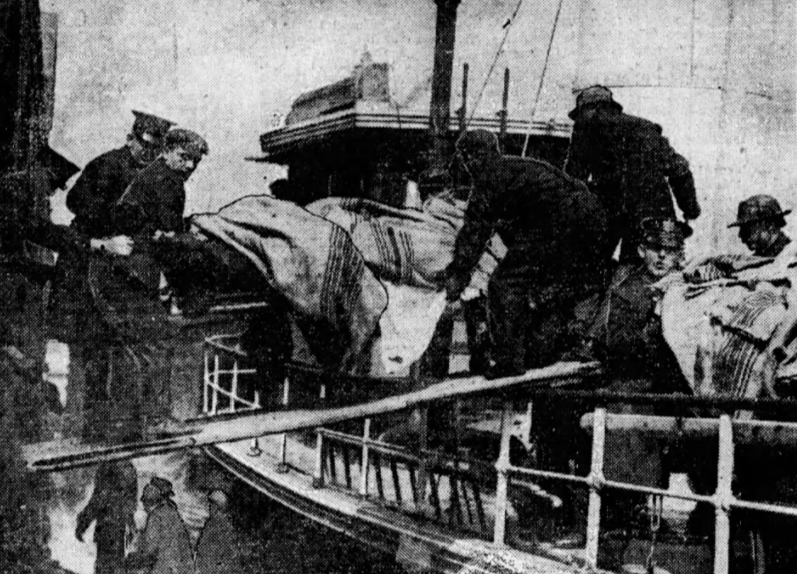 Alum Chine: 350 Tons of Dynamite Explode in Curtis Bay | by Rik Forgo ...