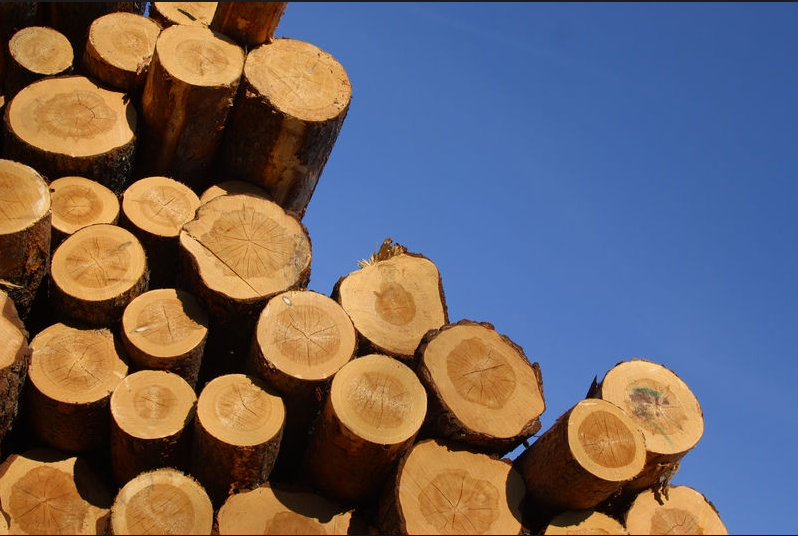 Logging levels explained. Good old logs remain a very important… | by ...
