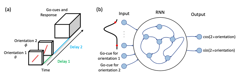 Stay updated with Neuroscience: November 2021 Must-Reads | by Stefano Bosisio | Towards Data Science