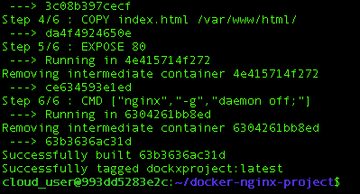 Create & Add Custom Image to AWS ECR Using Docker & Nginx! | by Swain Dennis | Medium