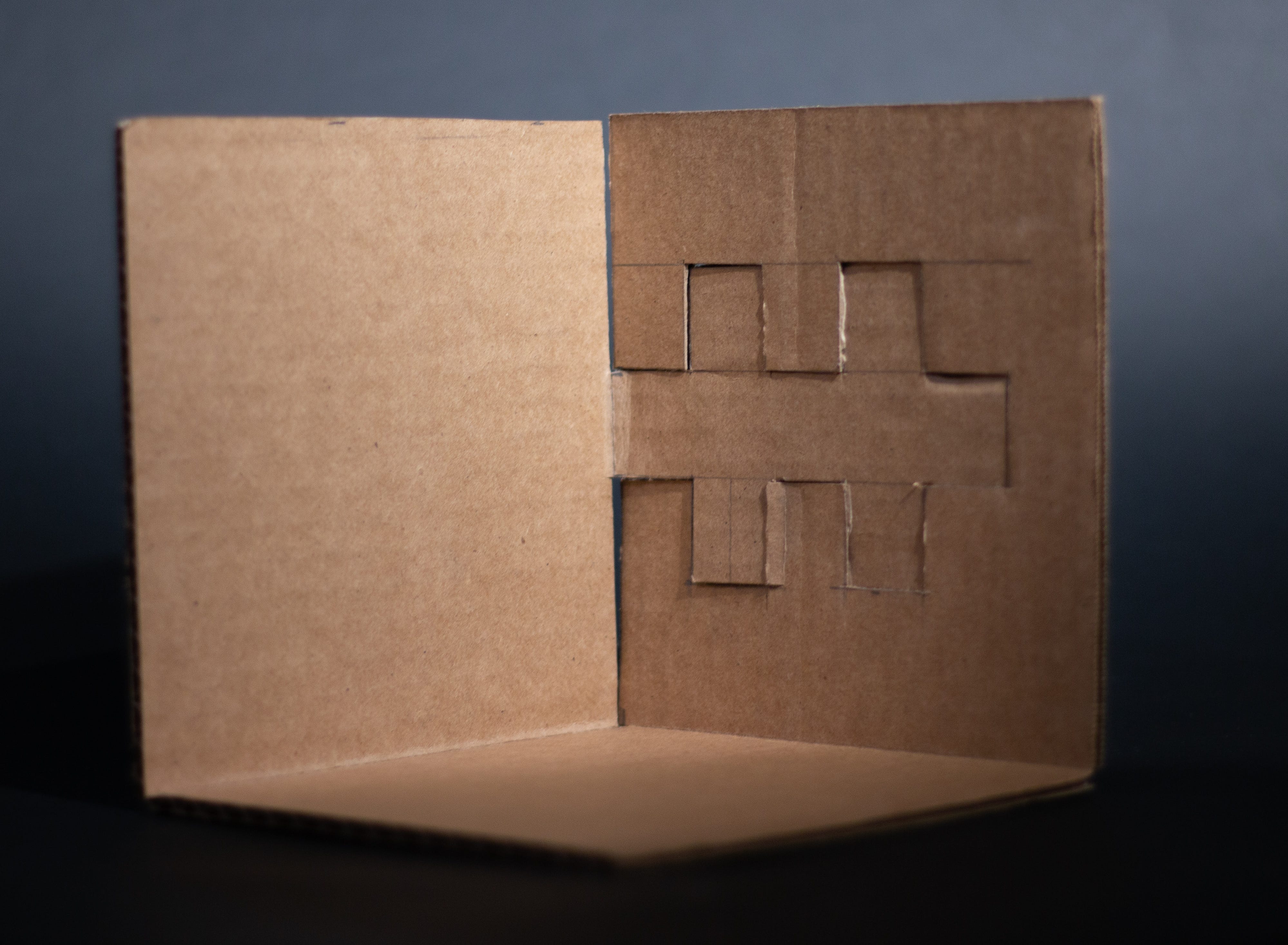 A JOURNEY WITH CARDBOARD. From carrying a pizza box to lifting… | by ...