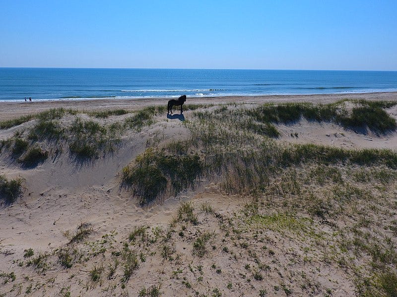 Things to Do in the Outer Banks | World Traveler’s Blog
