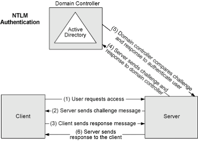 Internal Information Disclosure using Hidden NTLM Authentication | by Mike Brown | The Startup ...