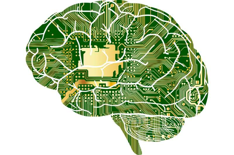 Brain Thinking Is Quantum Computing, New Evidence for Conjecture | by ...