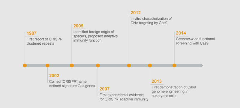 The History of CRISPR-Cas9. The CRISPR (Clustered regularly… | by ...