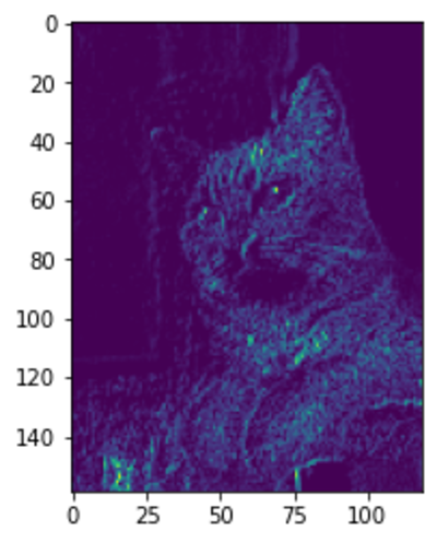 Visualizing Kernels and Feature Maps in Deep Learning Model (CNN) | by ...