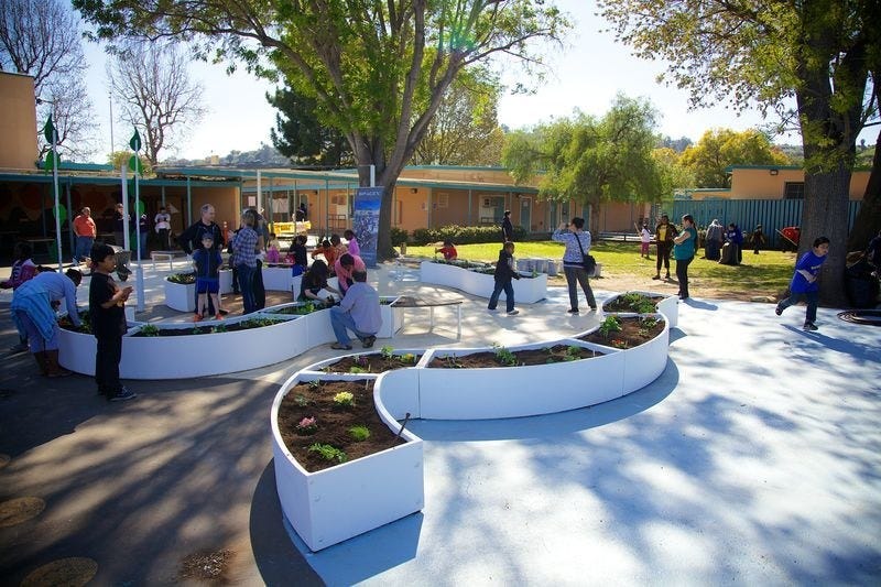 Big Green’s Vision of 1000 Learning Gardens | by Lee Schneider | Cult ...