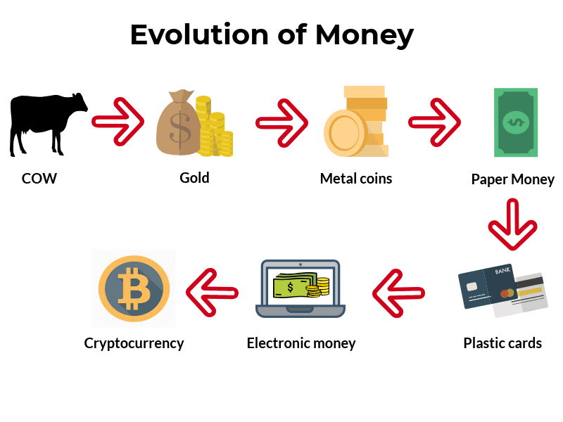 History Of Money Infographic - vrogue.co History Of Money Infographic - vrogue.co