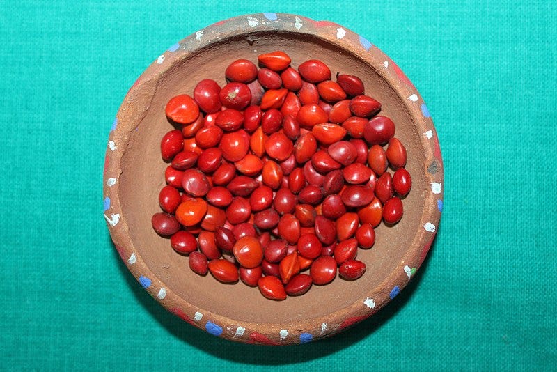 Lucky Red Seeds. A curious kid’s treasure are these… | by Sahana ...