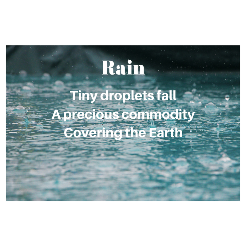 Rain. Tiny droplets fall | by ak_finch | Haiku Hub | Medium