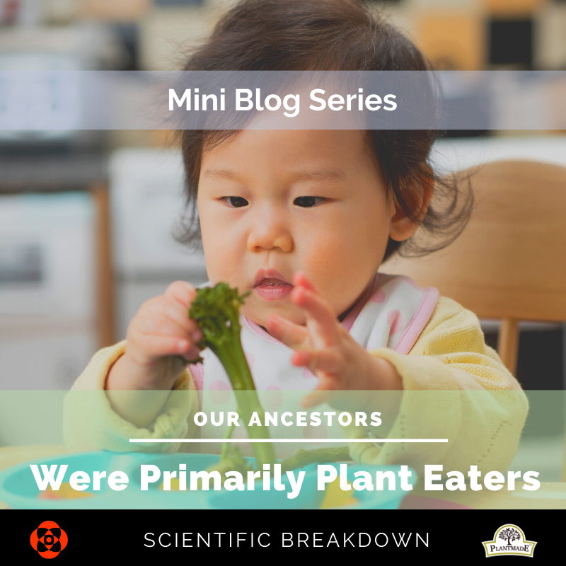 Humans Were Primarily Plant Eaters 1 | by Poonam Gupta | Plantmade | Medium