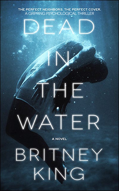 Three Indie Book Covers with Killer Style | by Elissa Bernstein | Medium