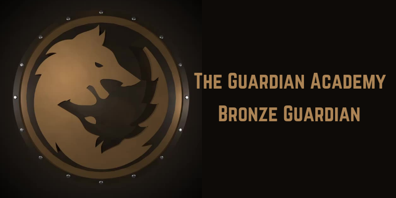 Bronze Guardian (BG) NFT. How To Farm For The Guardian Academy… | by ...