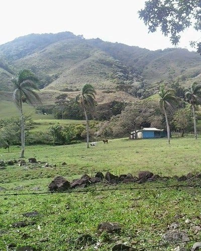 7 Authentic Local Experiences you can not miss in Dominican Republic ...