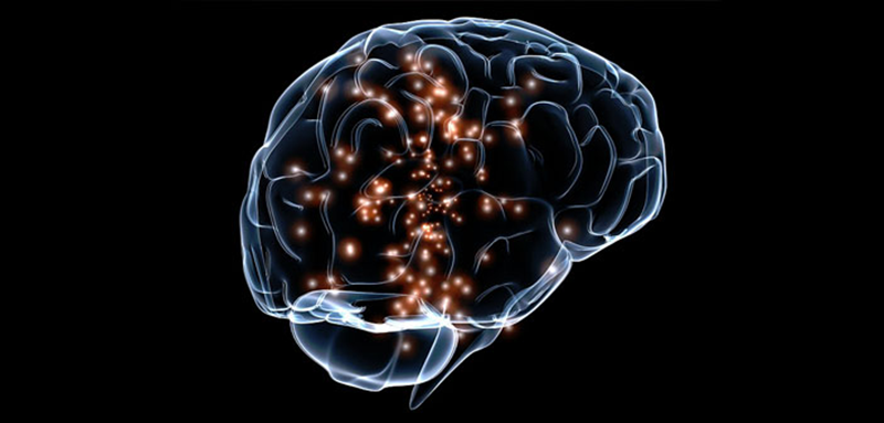 CeAga neurons act as an OFF-switch for multiple pain centers in the ...