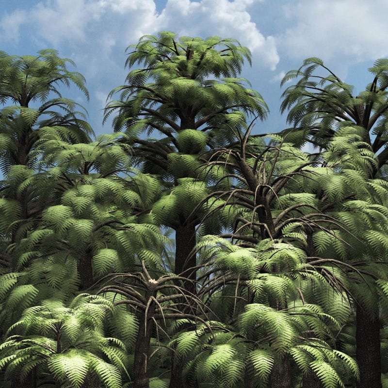 Protoplants. I like to think of the early mosses and… | by George ...