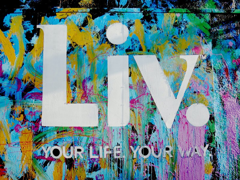 The Life I Choose. I don’t strive for wealth or aspire for… | by Mia ...