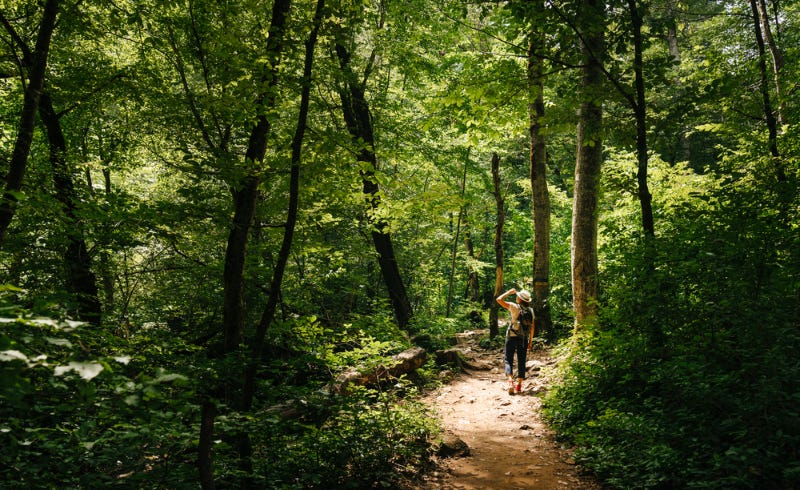The Power of Nature. Wandering through the darkness looking… | by The ...