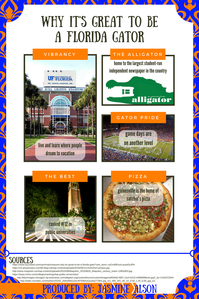 Why It’s Great to be a Florida Gator | by Jasmine Alson | Medium