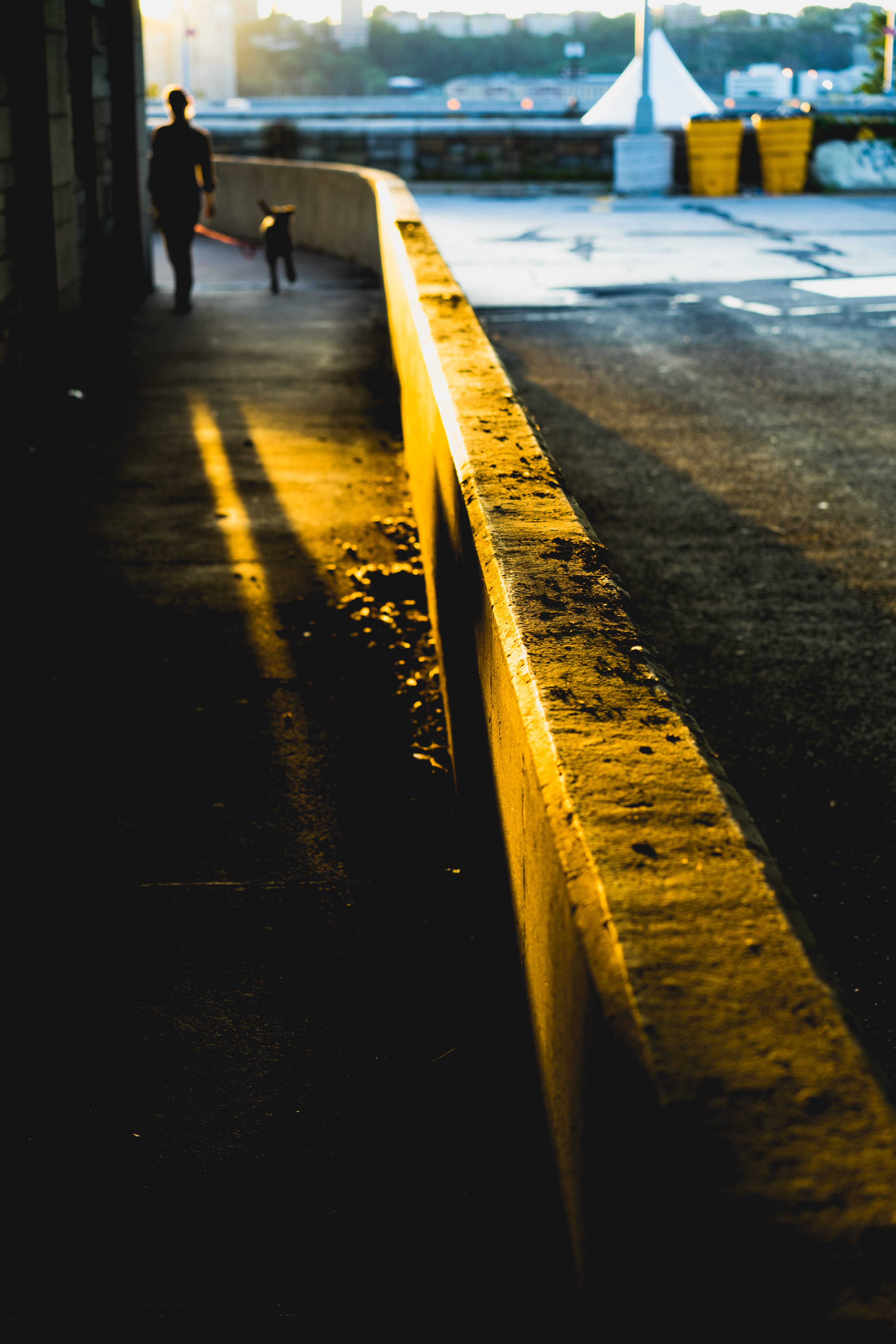 Photography layers. It started with an email. I’m on Sony… | by Dan ...