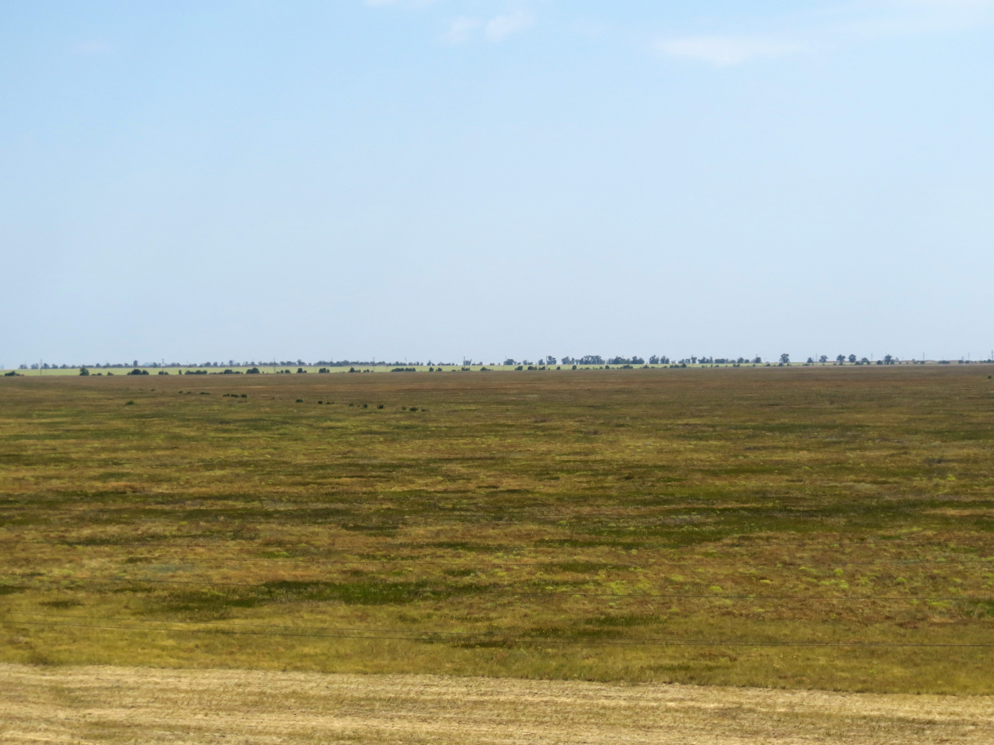 A Paradise in Hot Steppes. A safari in the Askania-Nova nature… | by ...