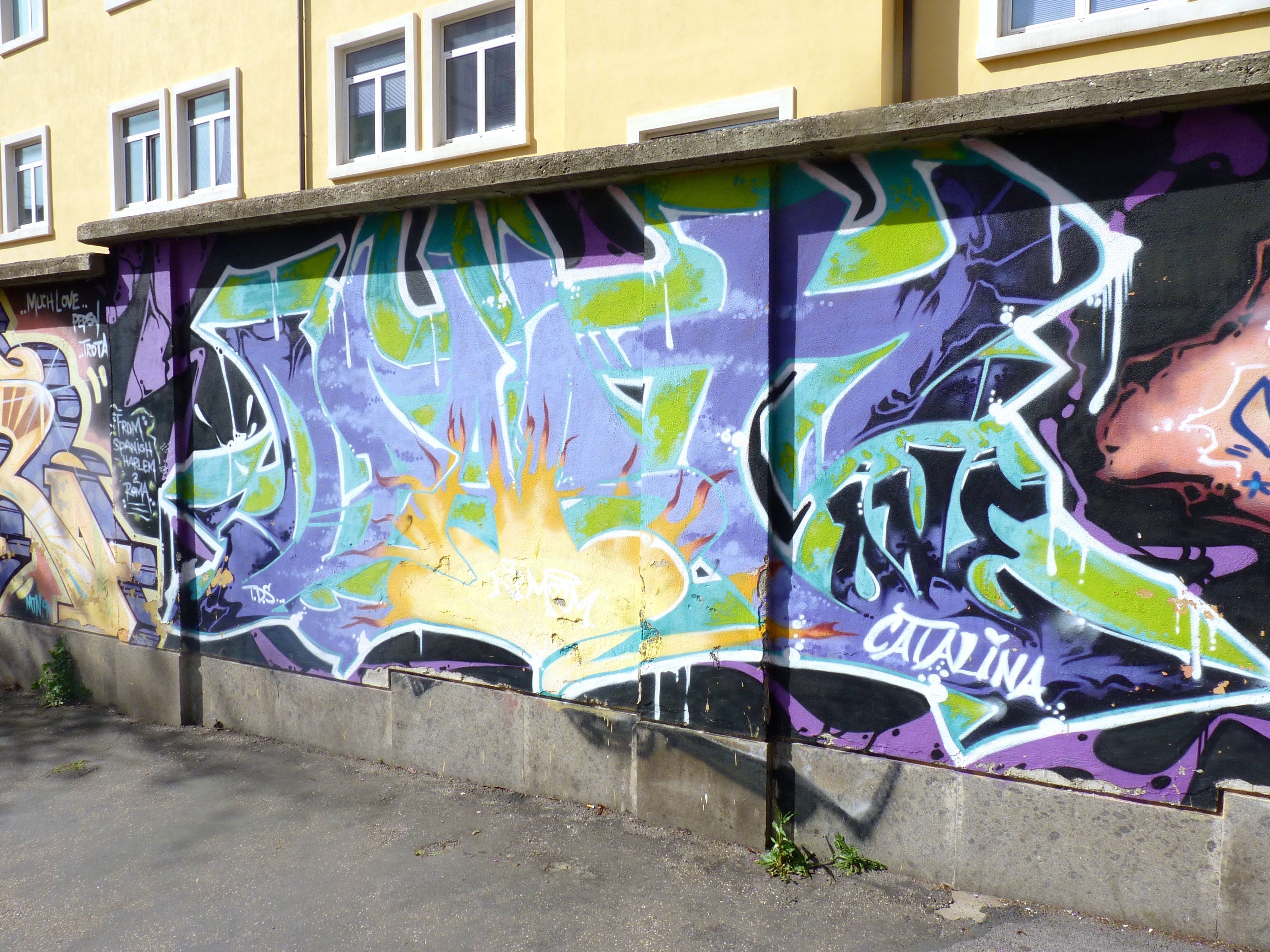 Genius Loci: The Street Art of Rome, pt. 2 | by Giulia Blasi | Panel ...