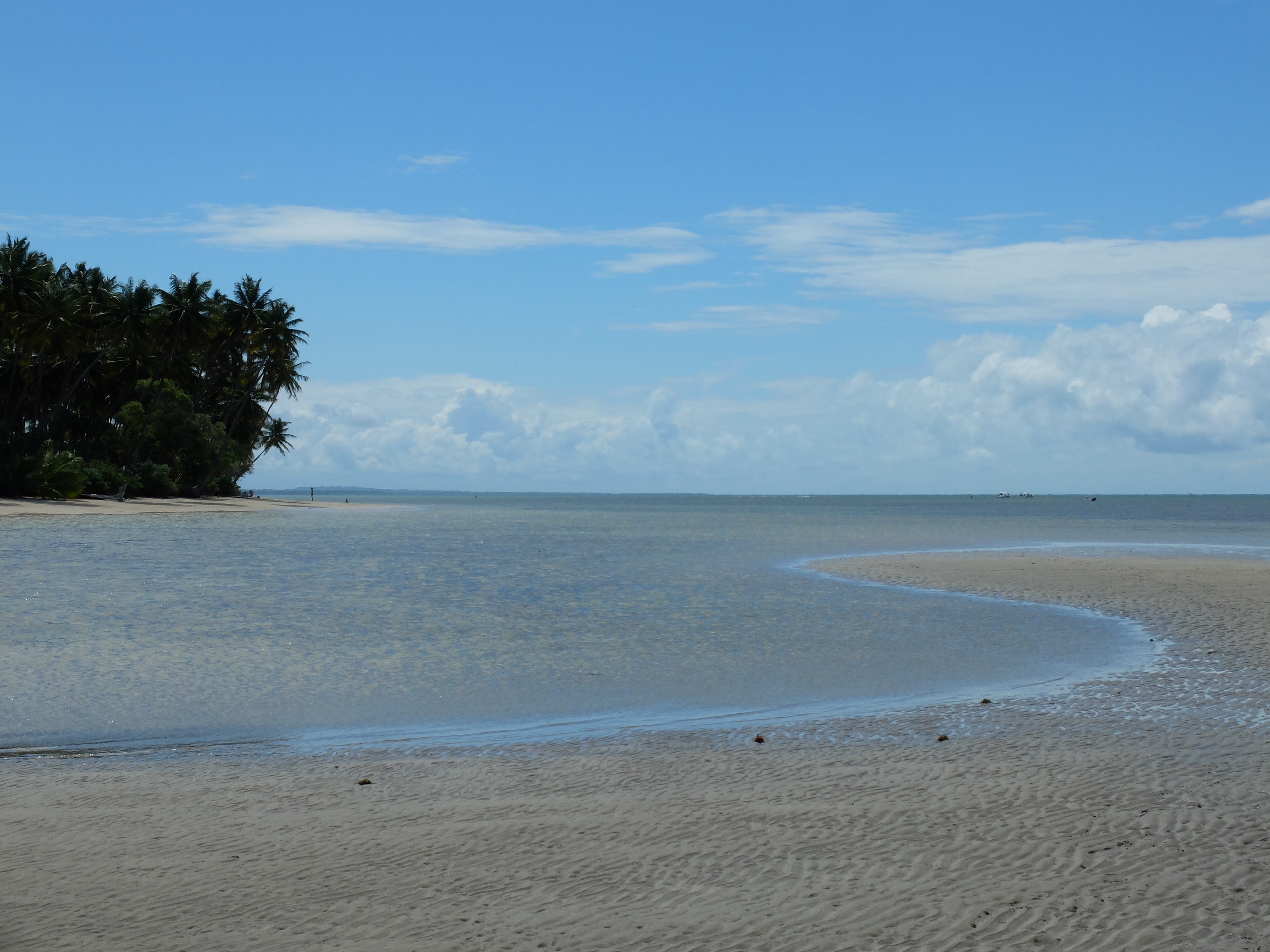 Ilha de Boipeba 🇧🇷. Le trajet jusqu’à Boipeba depuis… | by clem et greg ...