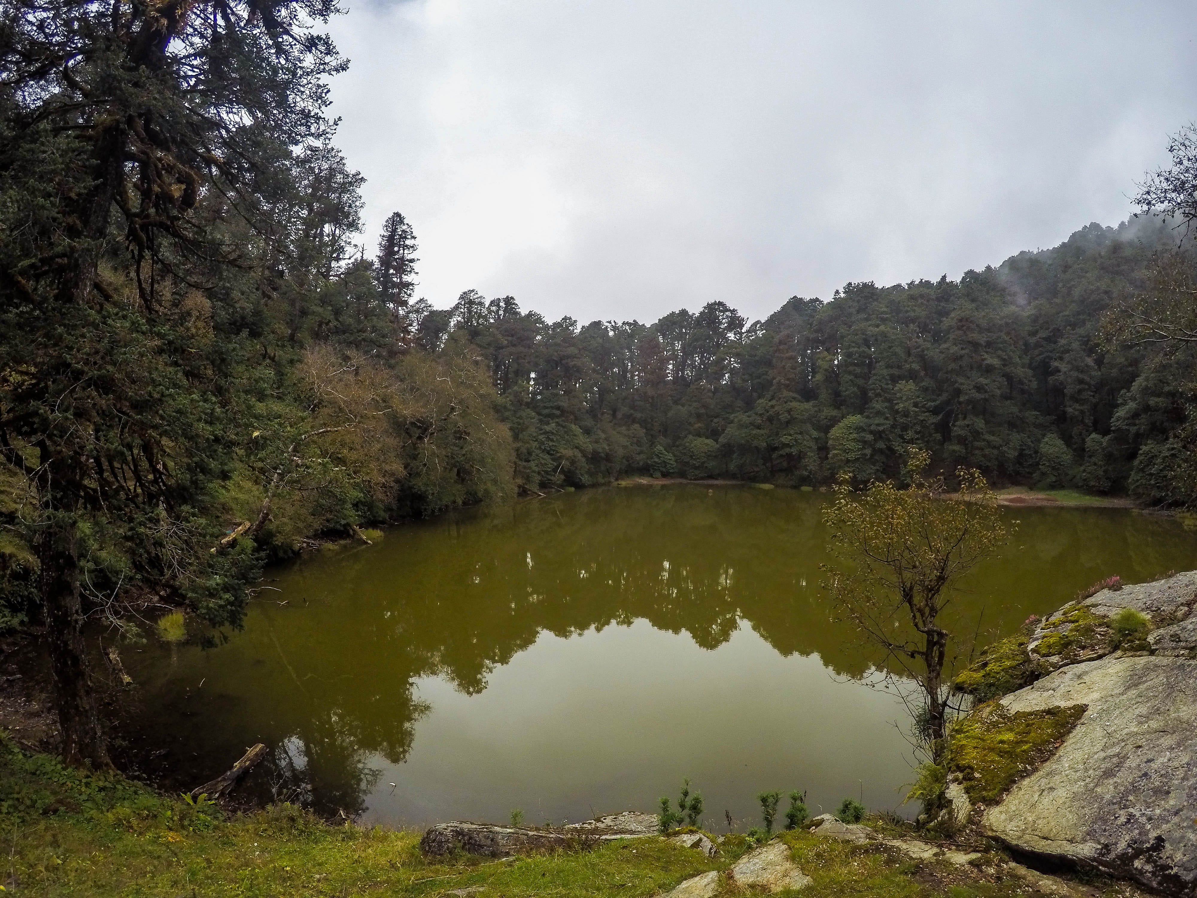 BrahmaTal Trek — A Beautiful hike in the Garhwal Himalaya | by Neeraj ...