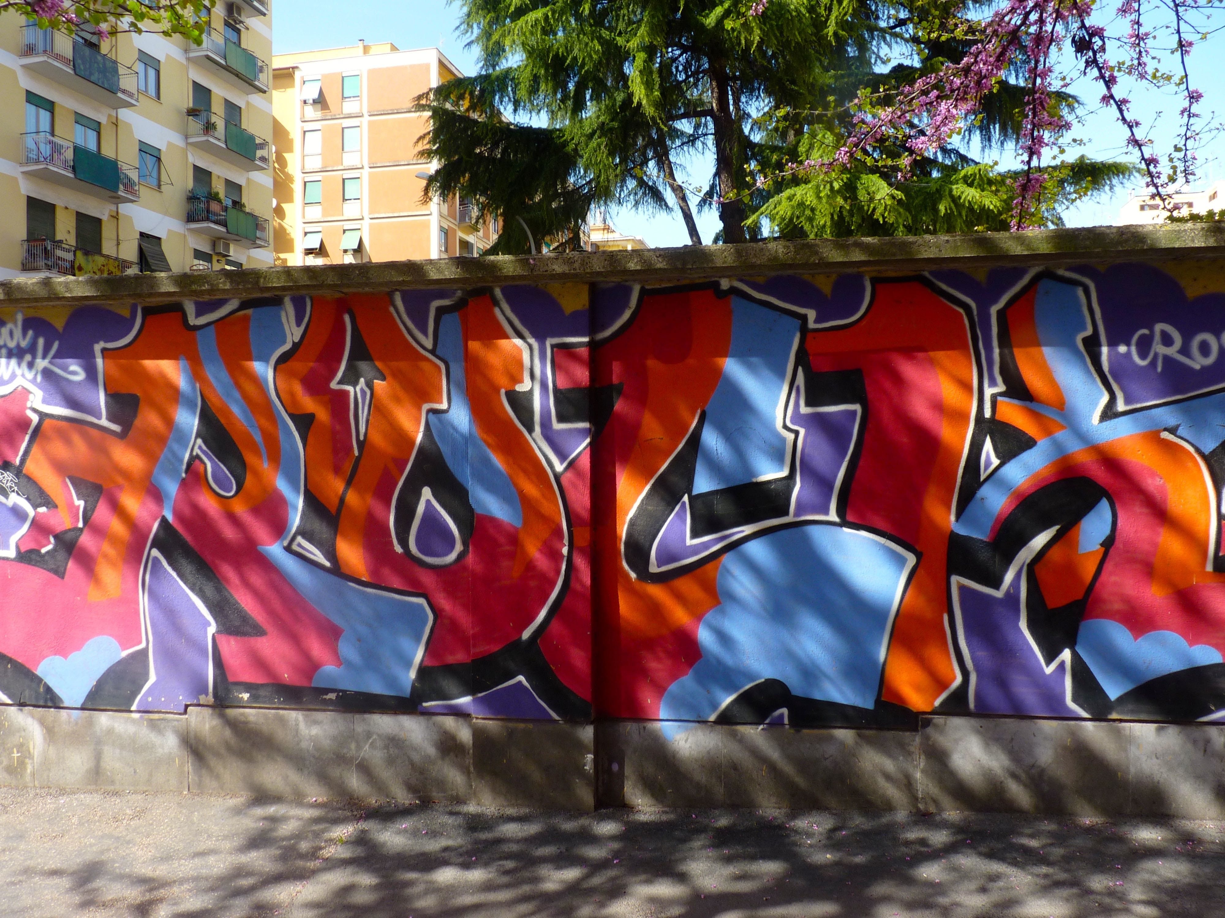 Genius Loci: The Street Art of Rome, pt. 2 | by Giulia Blasi | Panel ...