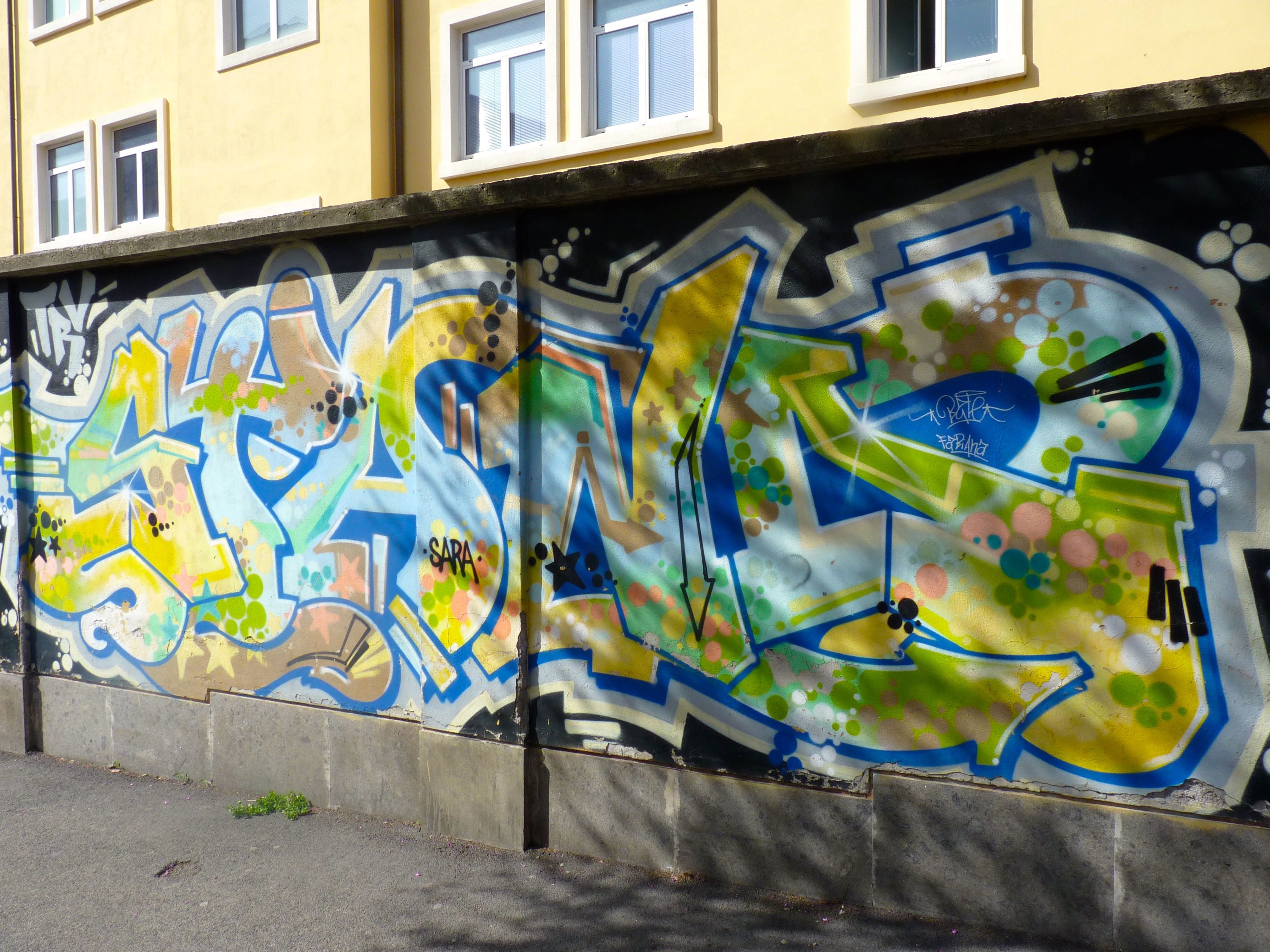 Genius Loci: The Street Art of Rome, pt. 2 | by Giulia Blasi | Panel ...