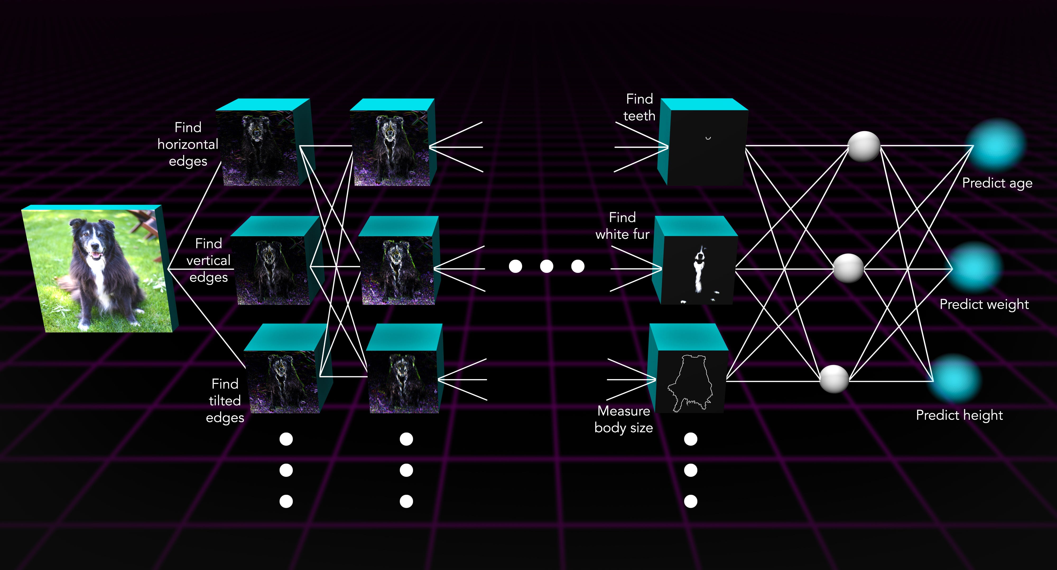 Convolution Neural Network (CNN) & MATHS behind CNN | by Seeratpal ...