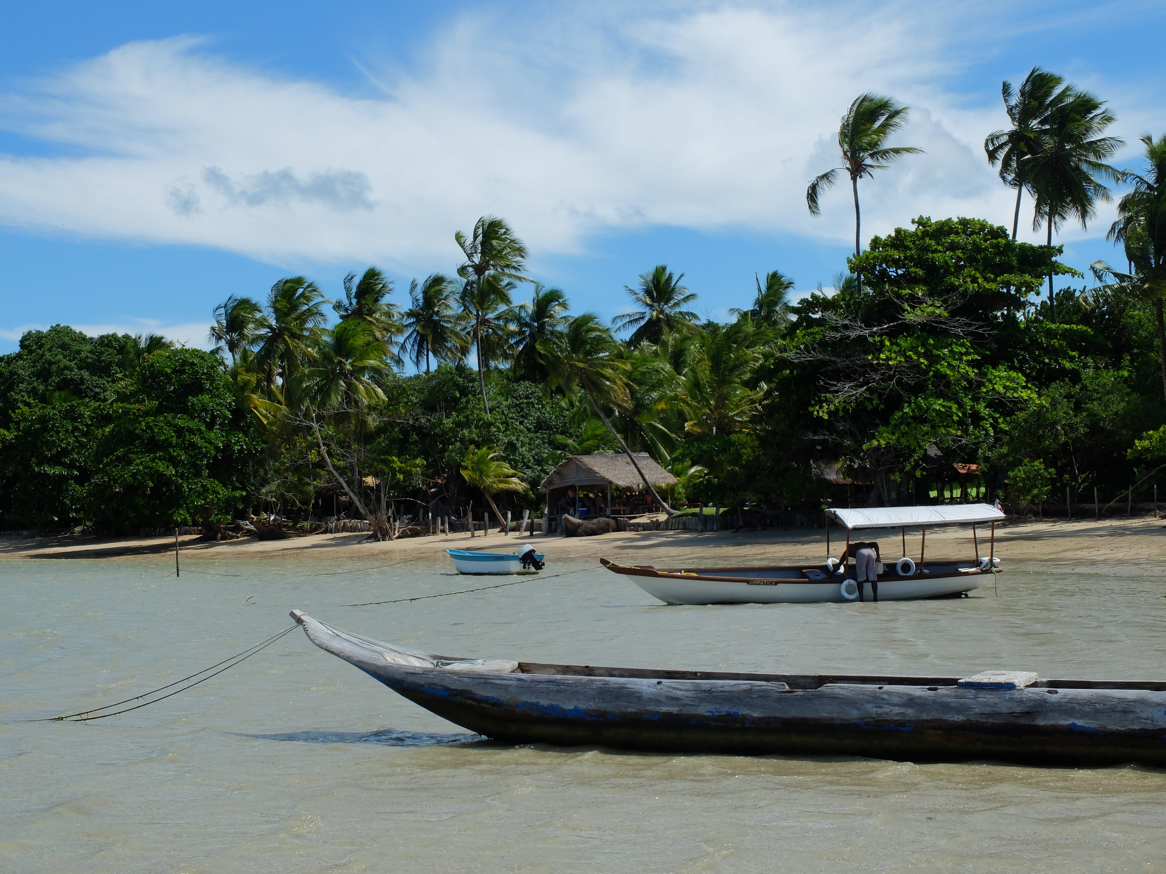 Ilha de Boipeba 🇧🇷. Le trajet jusqu’à Boipeba depuis… | by clem et greg ...