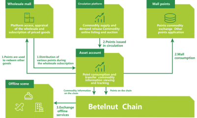 The Betel Nut Chain catalyzes the development of betel nut industry ...