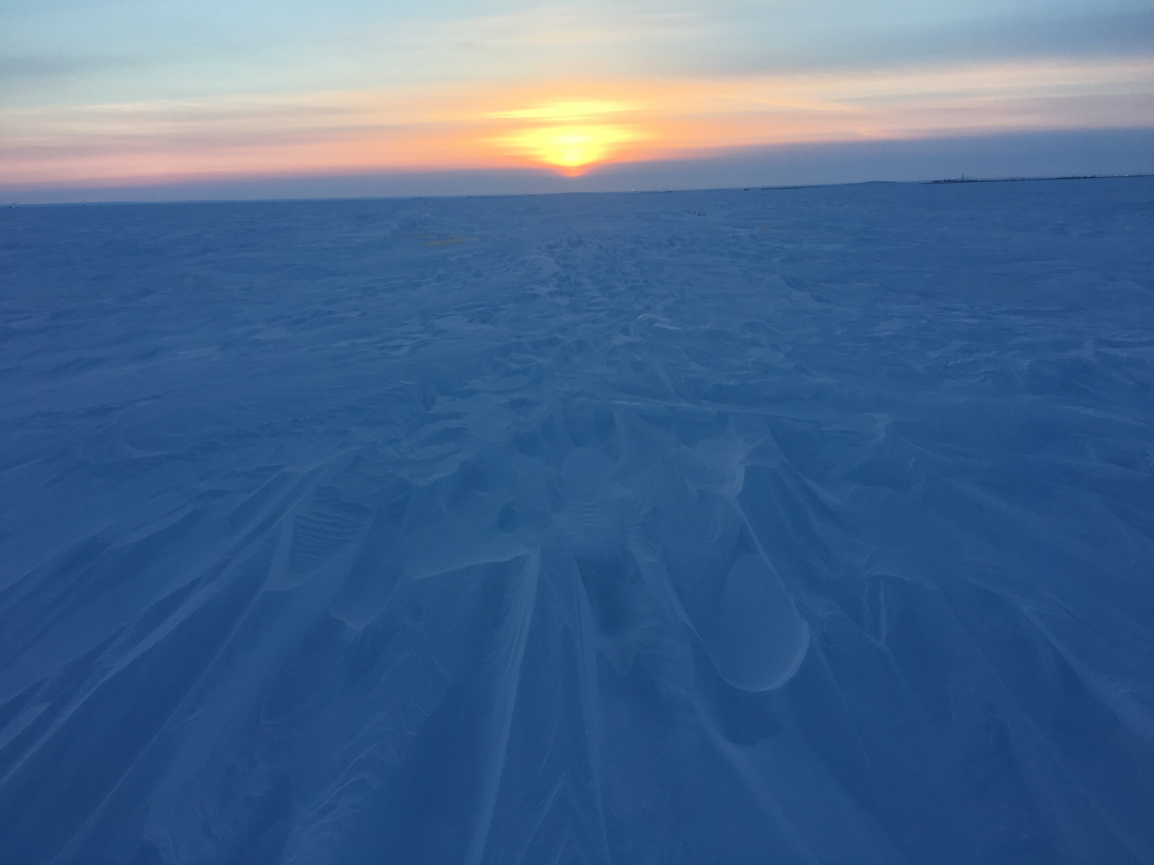 Safeguarding Polar Bears’ Maternal Dens | by Defenders of Wildlife ...