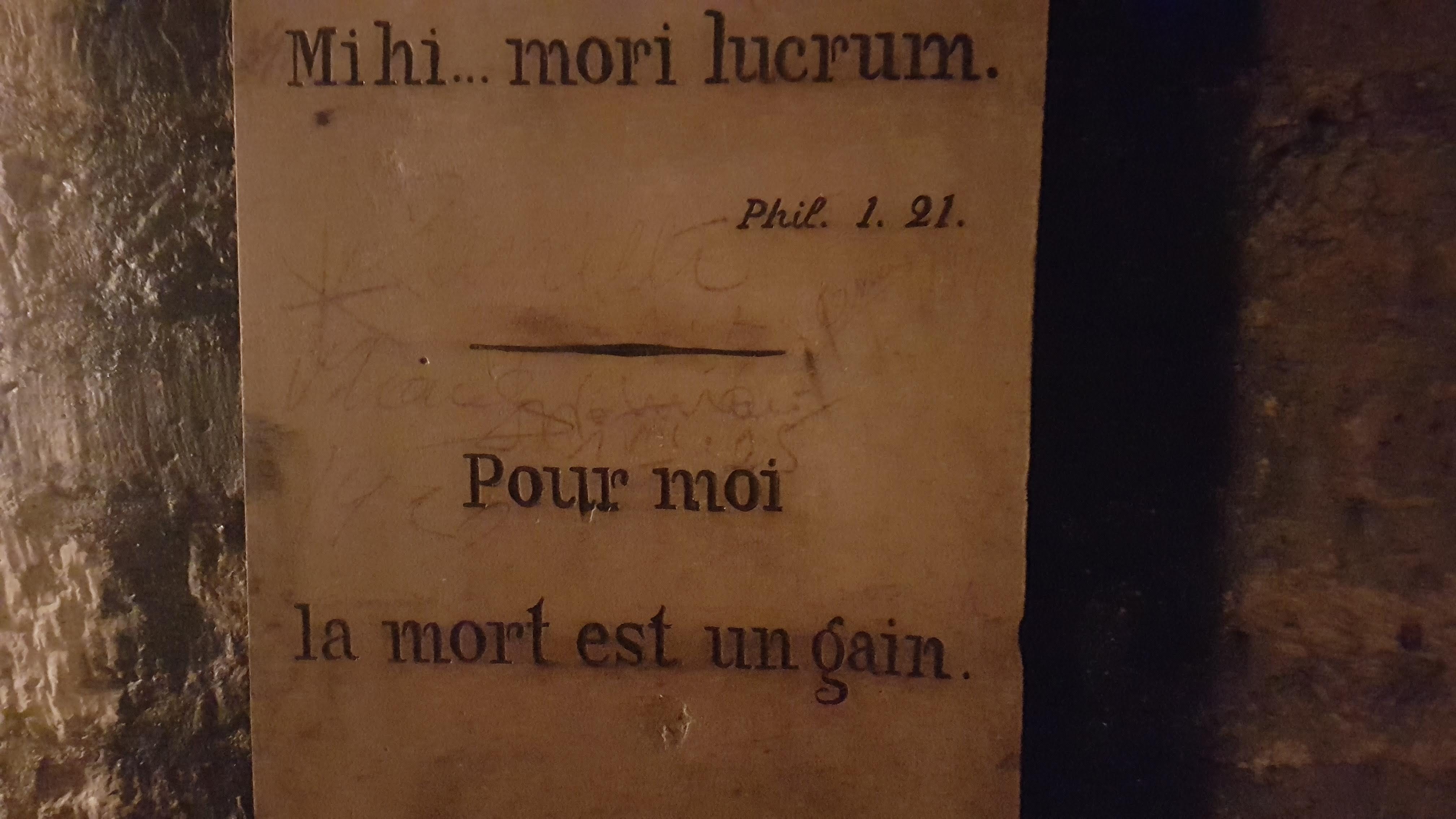 Soph’s Incredibly Specific Travel Notes: Catacombes de Paris | by ...
