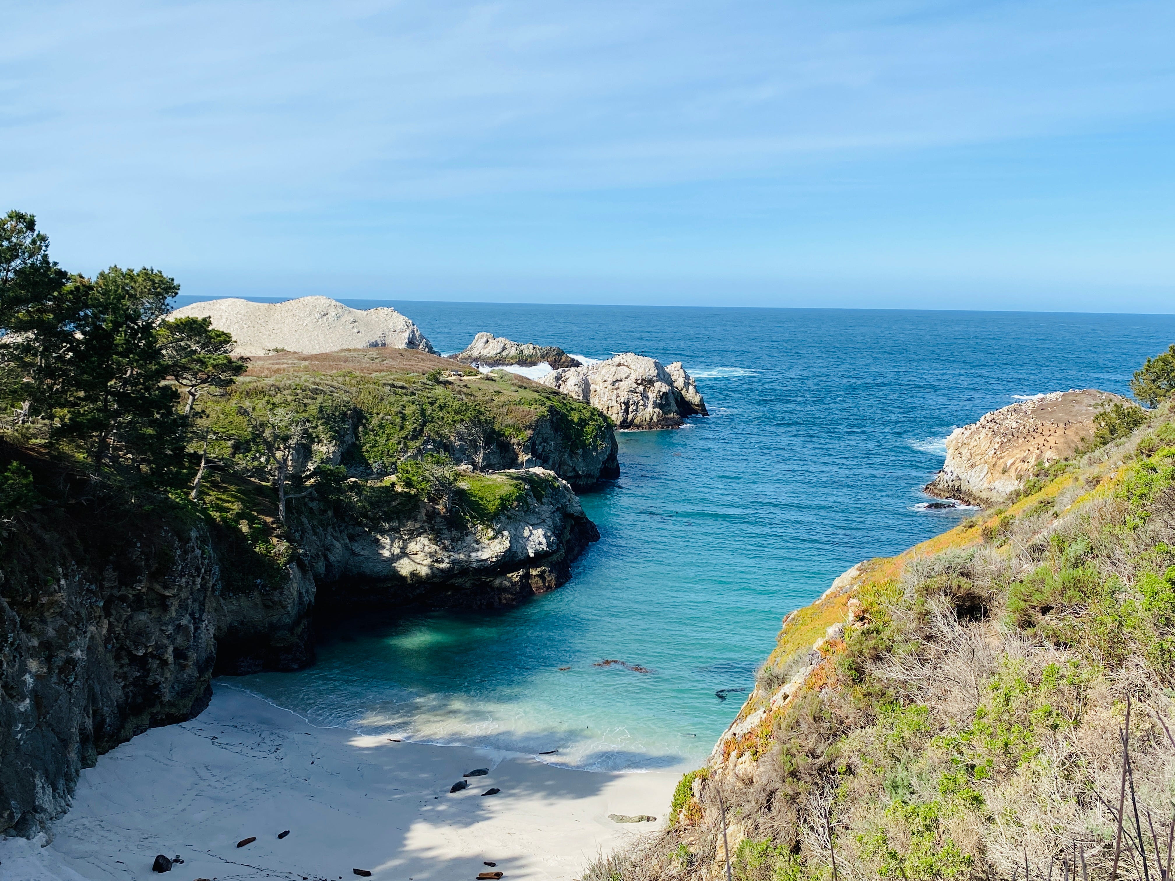 Point Lobos Loop Trail. A hidden gem on the Central California… | by ...