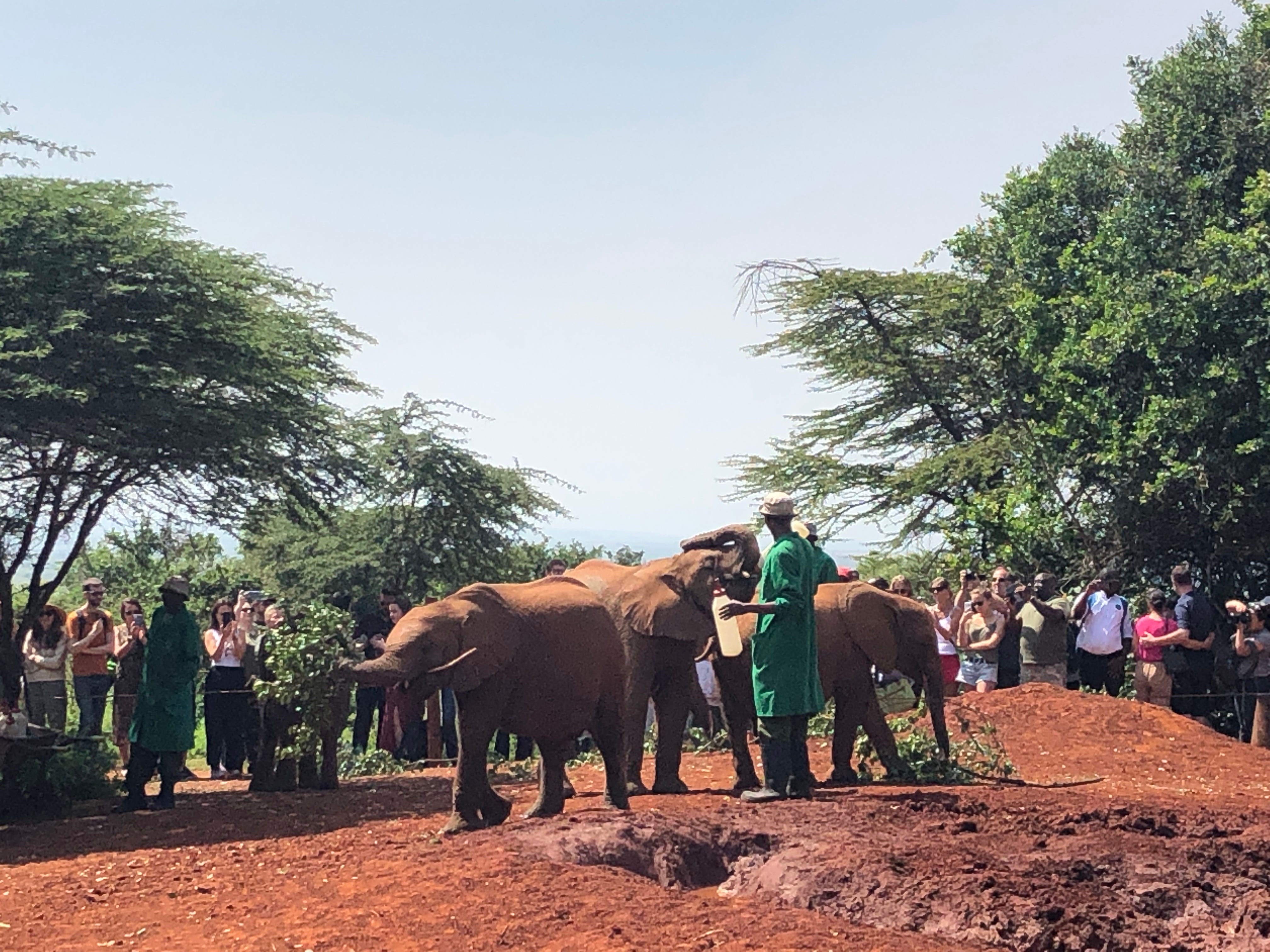 Week 2: Exploration. Another spectacular week here in Kenya… | by Jacob ...