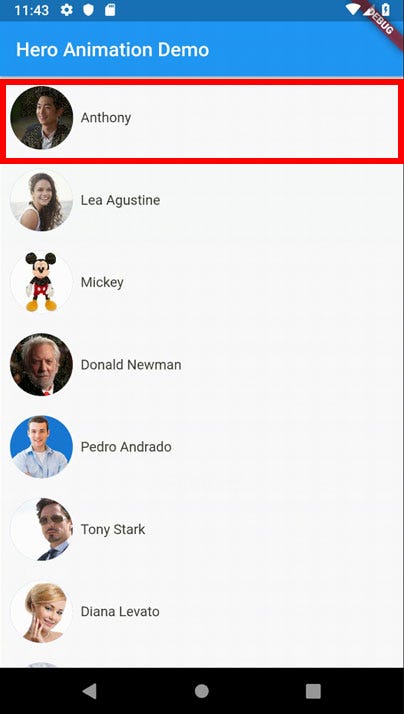 Flutter Basic Hero Animation/Transition in Dynamic List of Images Tutorial | by Tony Song | Medium